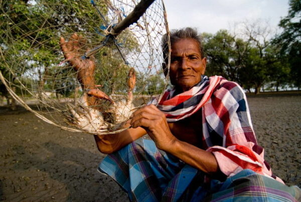 The International Day of Peasant’s Struggle – Some Notes from the Farm ...
