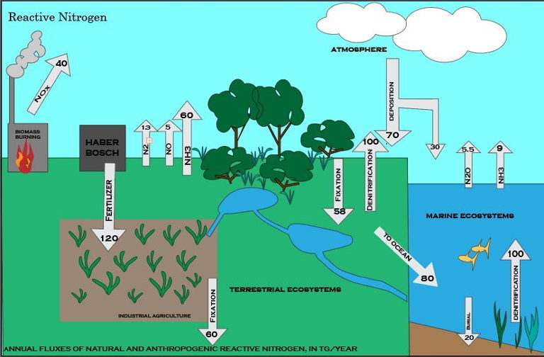 Nitrogen Crisis: A Neglected Threat to Earth’s Life Support Systems ...
