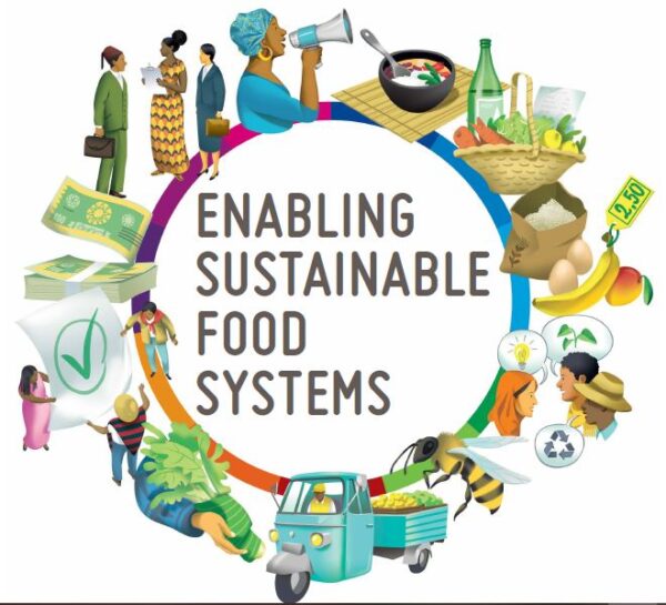 Enabling sustainable food systems. Innovators’ handbook - resilience