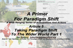 Taking Paradigm Shift To A Wider Audience, Part One - resilience