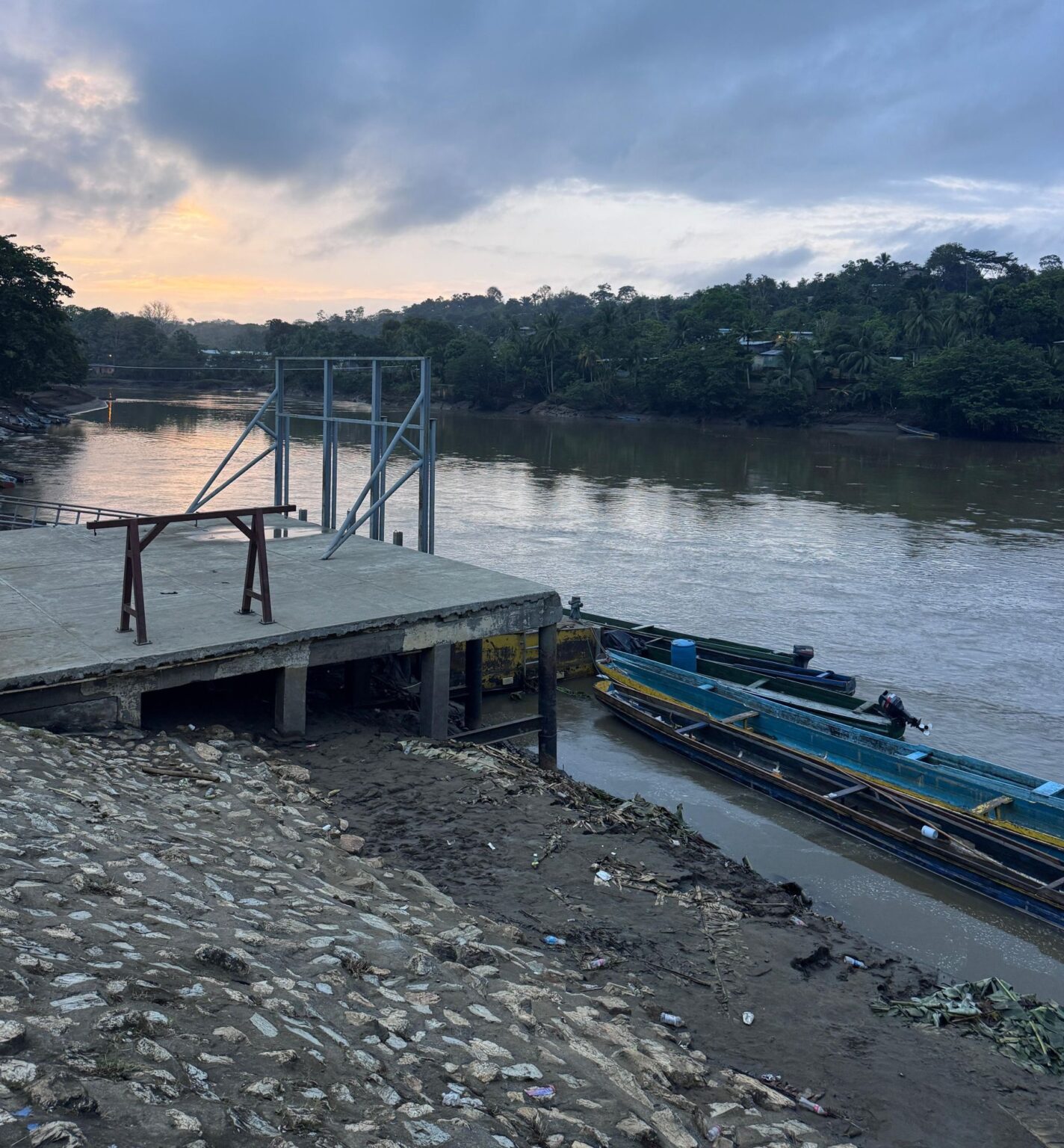 The Darien Gap and Central America Biological Corridor: critical ...